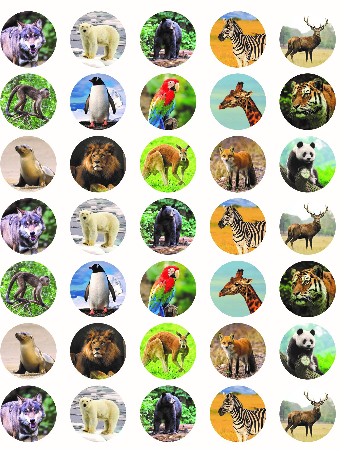 Zoo Animal Stickers – Crafts and More